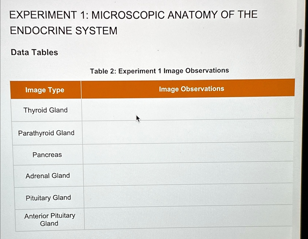 [GET ANSWER] EXPERIMENT 1: MICROSCOPIC ANATOMY OF THE ENDOCRINE SYSTEM ...