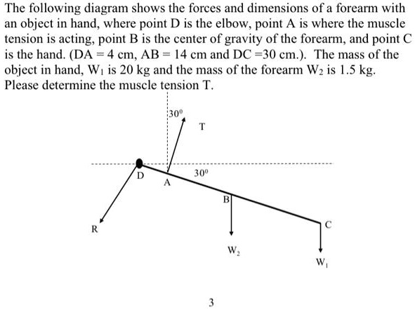 SOLVED: The following diagram shows the forces and dimensions Of a ...