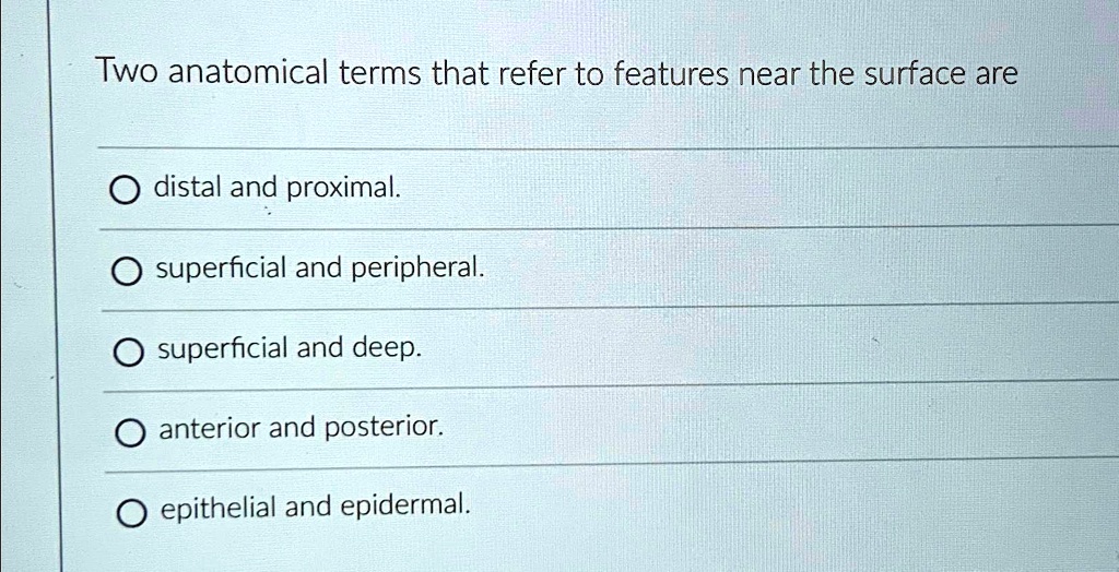Two anatomical terms that refer to features near the surface are distal ...