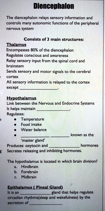 SOLVED: Diencephalon The diencephalon relays sensory information and ...