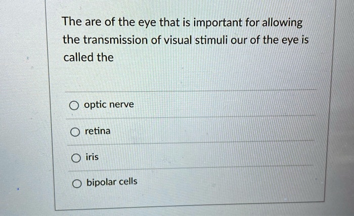 SOLVED: The area of the eye that is important for allowing the ...