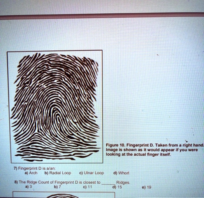 SOLVED:Figure 10. Fingerprint D. Taken Irom a right hand Image Is shown ...