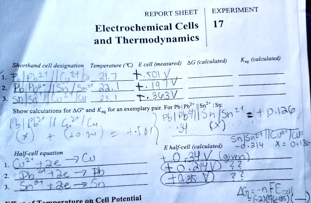 SOLVED: REPORT SHEET EXPERIMENT Electrochemical Cells 17 and ...
