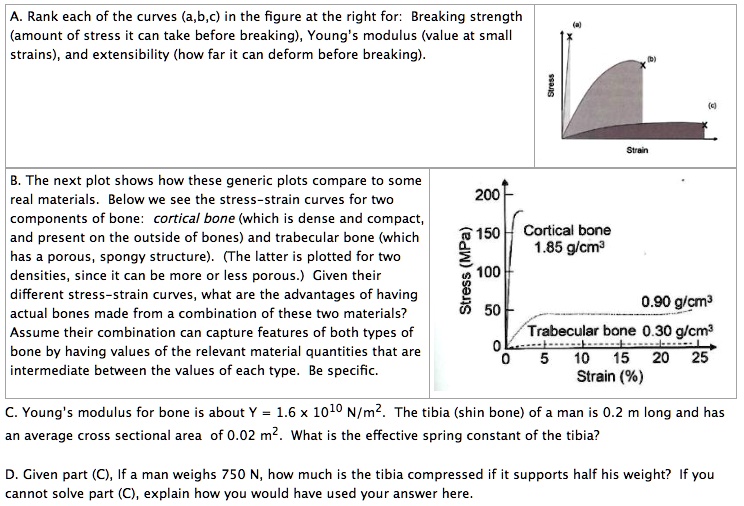a rank each of the curves abc in the figure at the right for breaking ...
