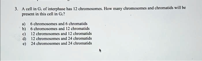 3. A cell in G1 of interphase has 12 chromosomes. How many chromosomes ...