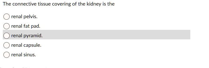 SOLVED: The connective tissue covering of the kidney is the renal ...