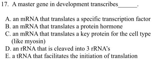 17. A master gene in development transcribes . A. an mRNA that ...