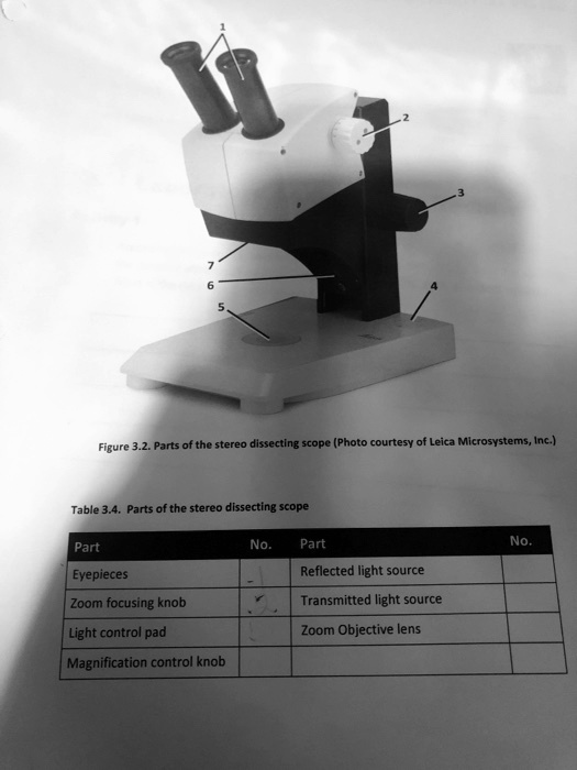 SOLVED: Figure 3.2 Pans the stereo dissecting scope (Photo courtesy of ...