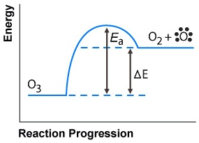 SOLVED: 'Consider the reaction pathway graph below. Which conclusion ...