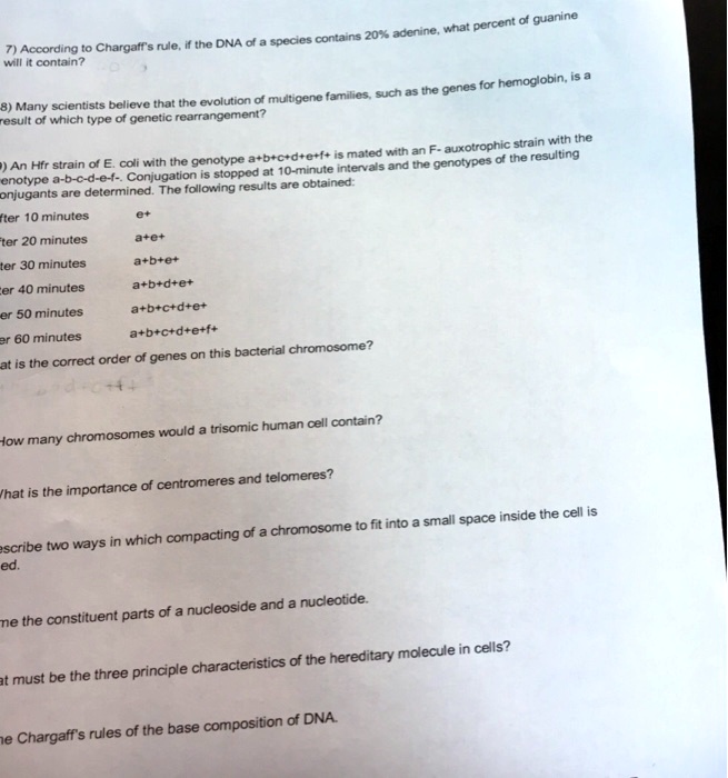 SOLVED: Percent quanting contains 20*2 adenine. What does the DNA ...