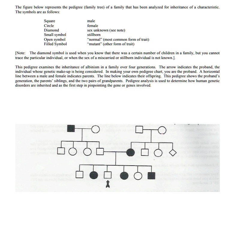 the figure below represents the pedigree family tree of family that has ...