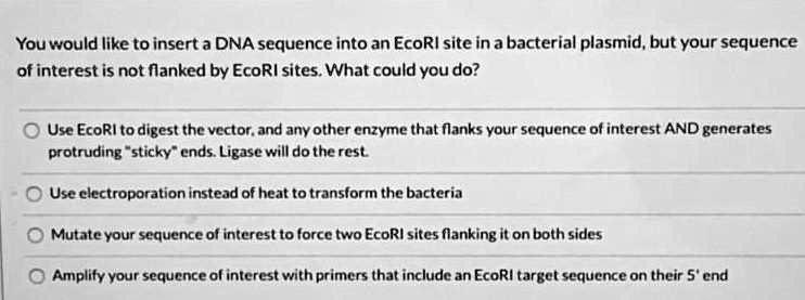 SOLVED: You would like t0 insert a DNA sequence into an EcoRI site in a ... SOLVED: You would like t0 insert a DNA sequence into an EcoRI site in a ...