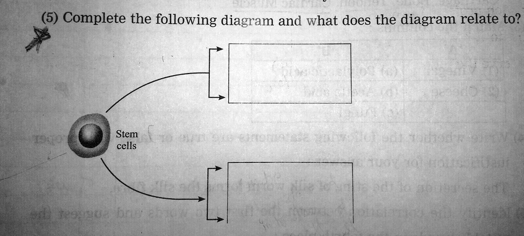 SOLVED: 'complete the following diagram and what does the diagram ...