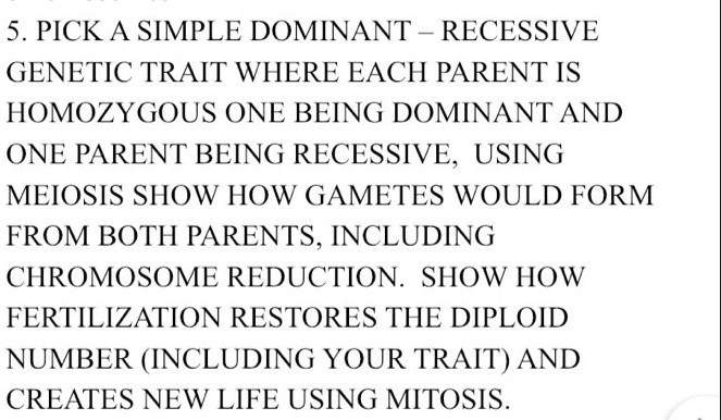 5 pick a simple dominant recessive genetic trait where each parent is ...
