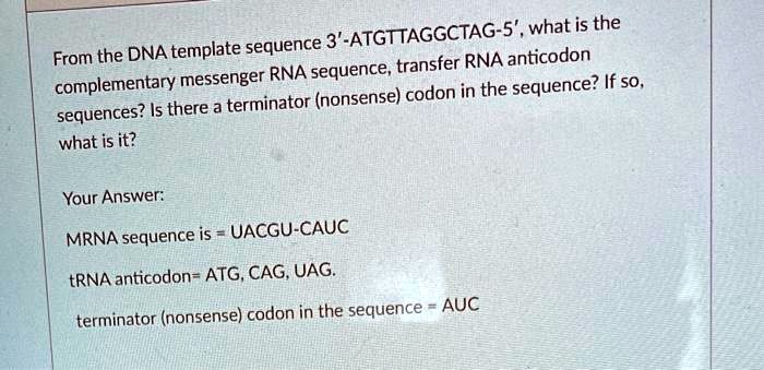 SOLVED: 3'-ATGTTAGGCTAG-S', what is the From the DNA template sequence 'transfer RNA anticodon ...