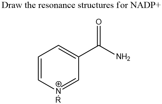 SOLVED: Draw the resonance structures for NADP+ NHz R