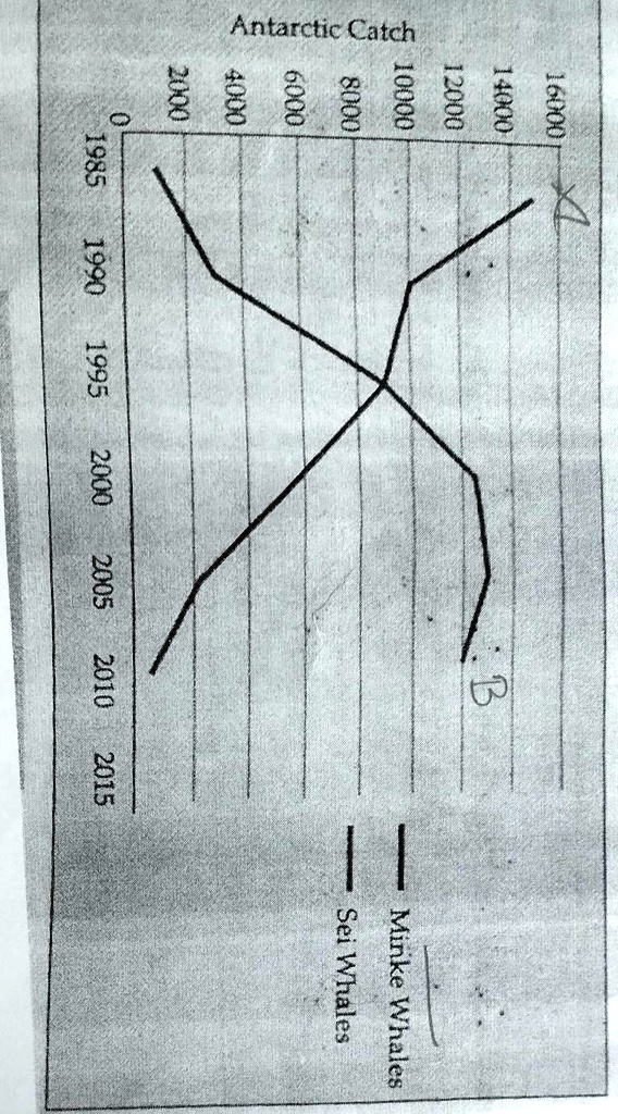 look at the graph given below which shows the numbers of whales caught ...