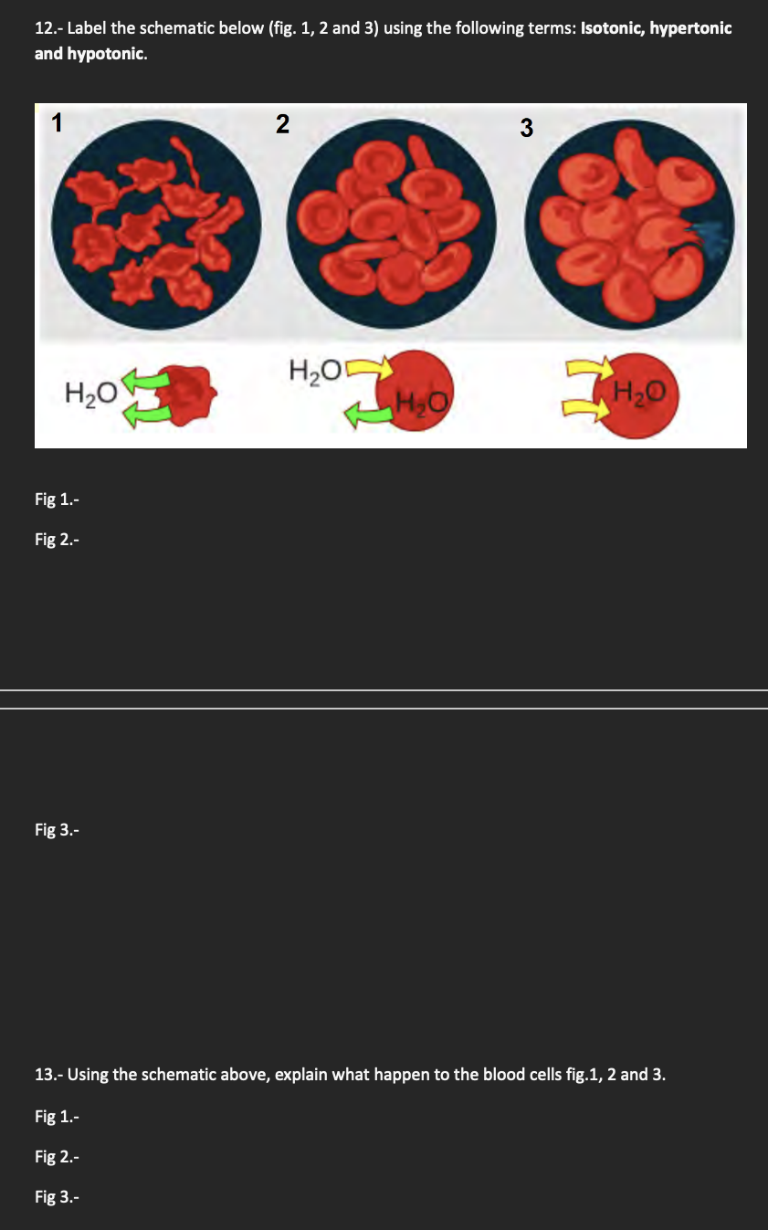 SOLVED: 12.- Label the schematic below (fig. 1, 2 and 3) using the ...