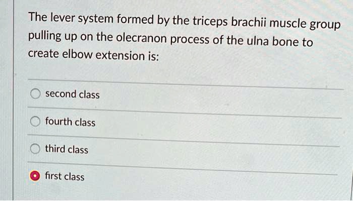 The lever system formed by the triceps brachii muscle group pulling up ...