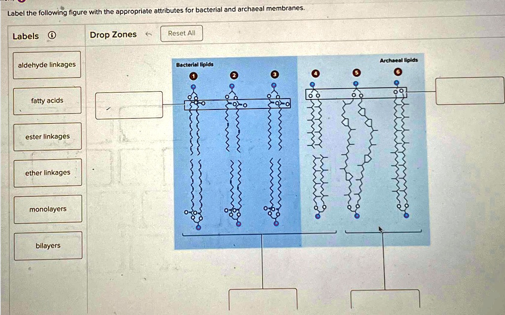 Label the following figure with the appropriate attributes...