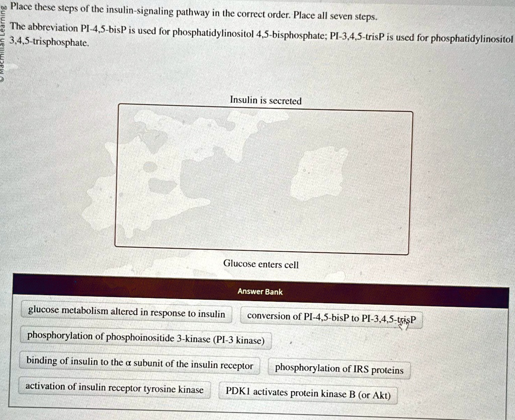 place these steps of the insulin signaling pathway in the correct order ...