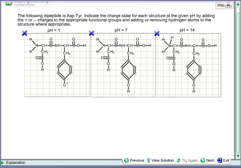 SOLVED: 'The following dipeptide is Asp-Tyr. Indicate the charge state for each structure at the ...