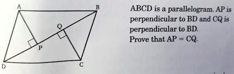 SOLVED: ABCD is a parallelogram AP is perpendicular to BD and CQ is perpendicular to BD. Prove ...