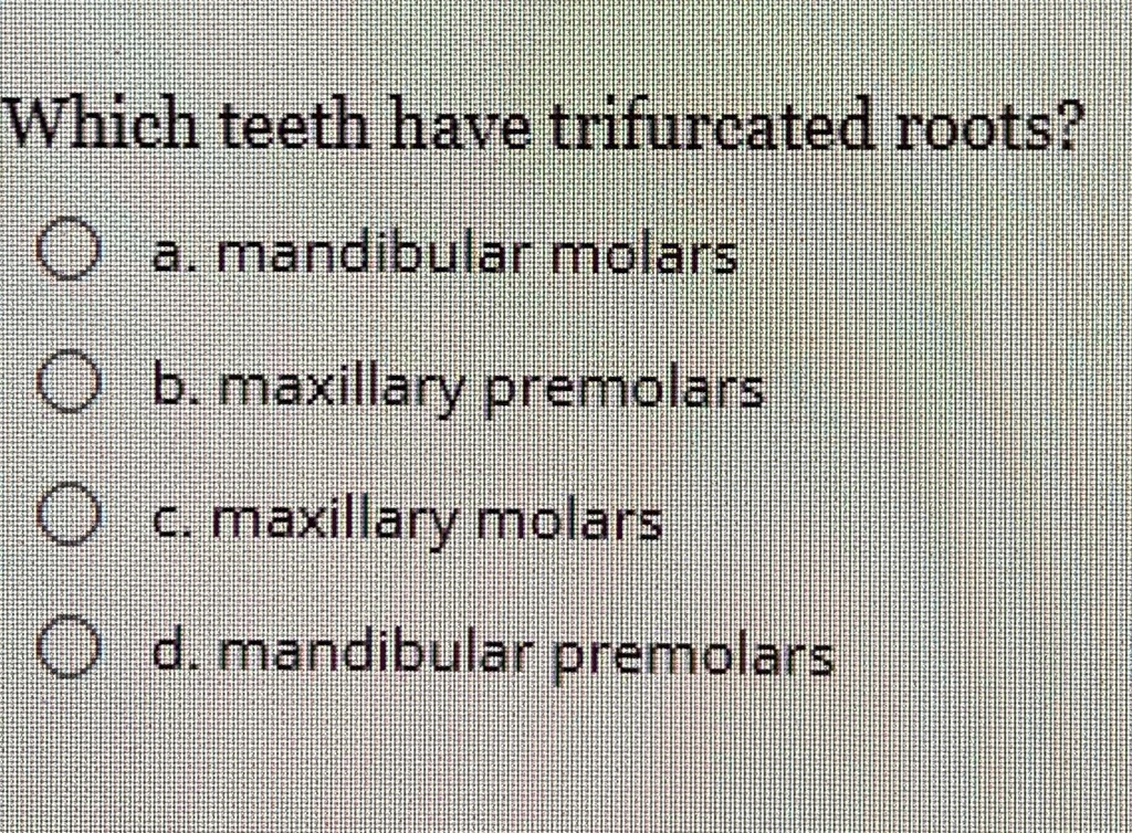 Which teeth have trifurcated roots? a. mandibular molars b. maxillary ...