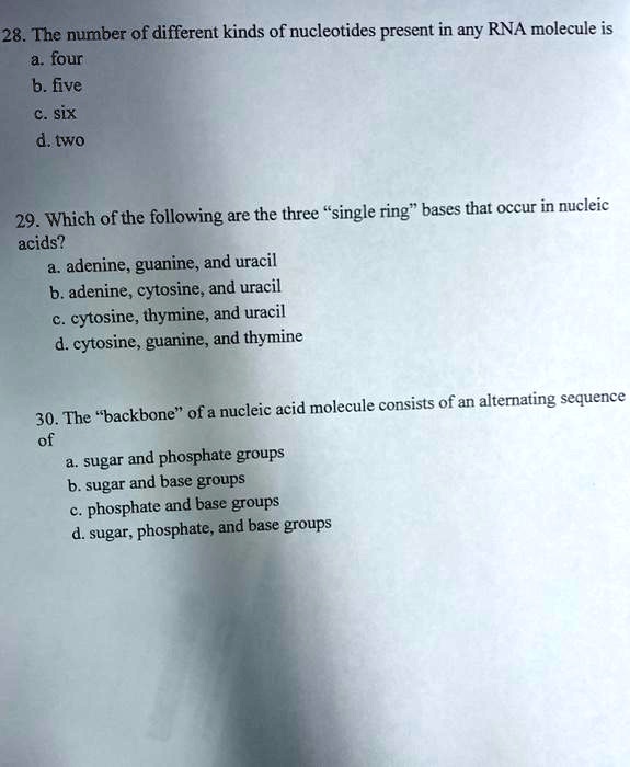 28 the number of different kinds of nucleotides present in any rna ...