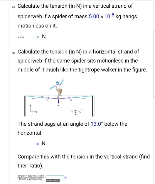 (a) Calculate the tension (in N) in a vertical strand of spiderweb if a ...