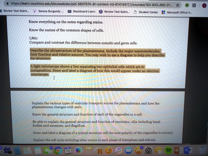 https://learn.csuchico.edu/bbcswebdav/pid-3607574-dt-content-rid-614140171/courses/192-BIOL460 ...