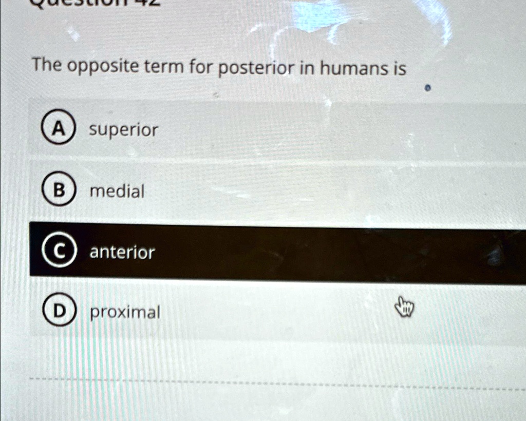 The opposite term for posterior in humans is A superior B medial C ...