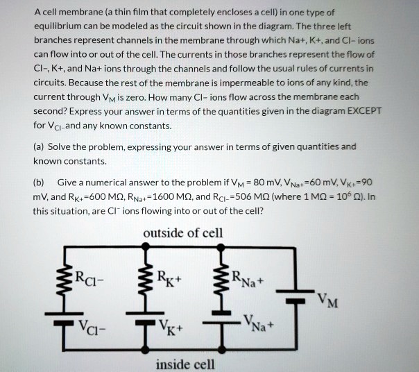 A cell membrane (a thin film that completely encloses a cell) in one type of equilibrium can be ...
