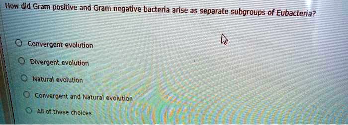 SOLVED: How did Gram-positive and Gram-negative bacteria arise as ...