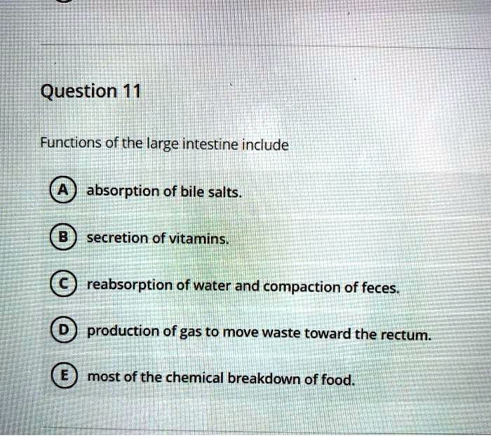 SOLVED: Functions of the large intestine include: - Absorption of bile ...