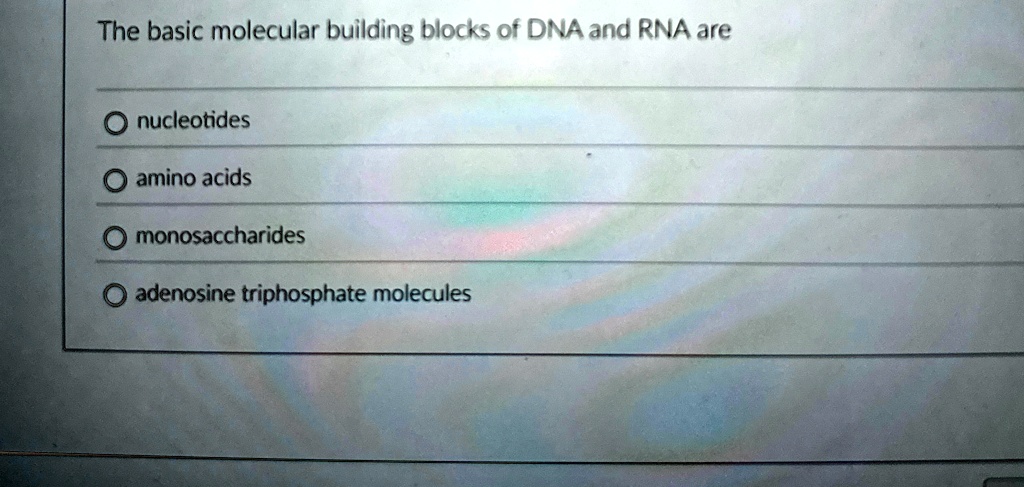 the basic molecular building blocks of dna and rna are nucleotides ...