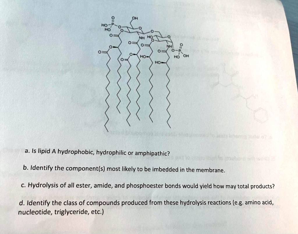 SOLVED: Lipid A (shown below) is a component of Lipopolysaccharide (LPS ...