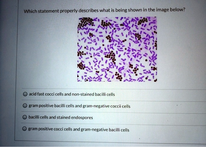 which statement properly describes what is being shown in the image ...