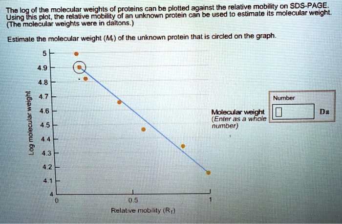 SOLVED: The of the molecular weights of proteins can be plotted against ...
