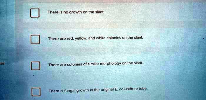SOLVED: There is no growth on the slant: There are red, yellow; and ...