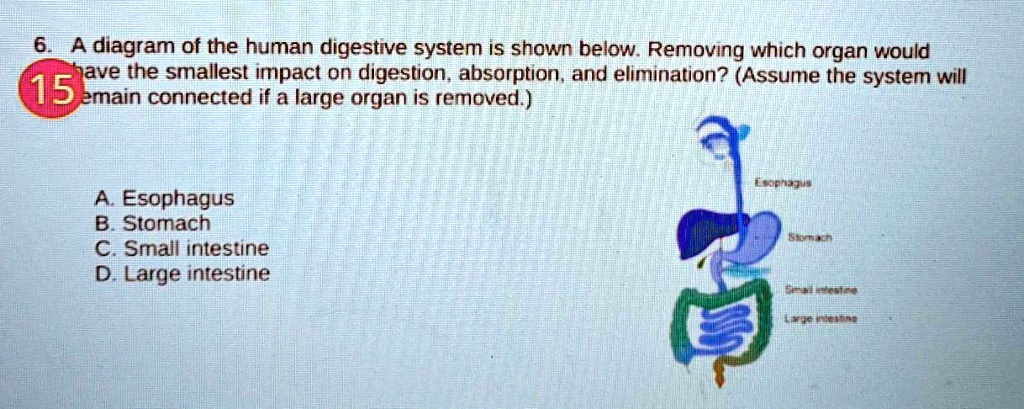SOLVED: 'pls help me with this and explain your answer A diagram of the ...