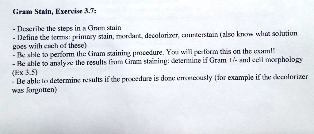 gram stain exercise 37 describe the steps in a gram stain define the ...