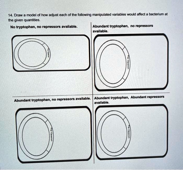 SOLVED: 14. Draw a model of how adjusting each of the following ...