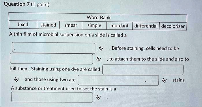 SOLVED: Word Bank: fixed, stained, smear, simple, mordant, differential ...