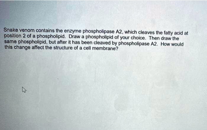 SOLVED: Snake venom contains the enzyme phospholipase A2, which cleaves ...