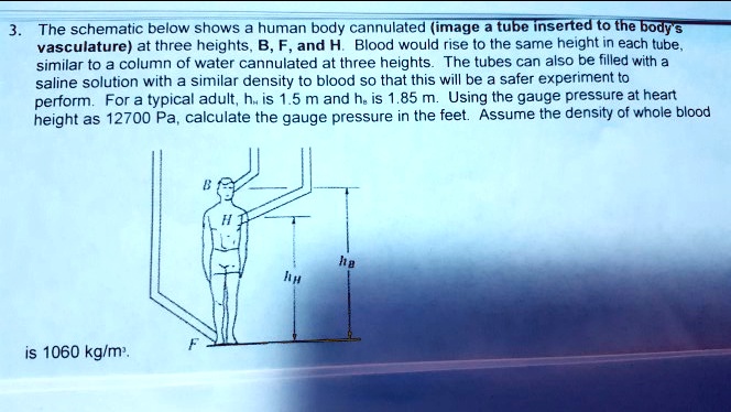 [GET ANSWER] 3. The schematic below shows a human body cannulated ...