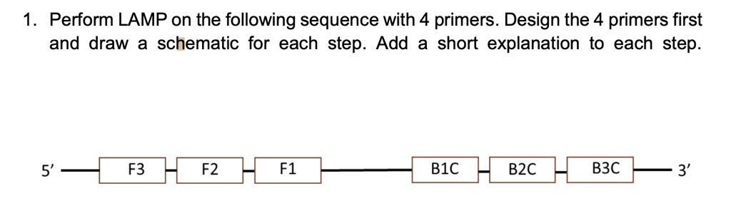 1. Perform LAMP on the following sequence with 4 primers. Design the 4 ...