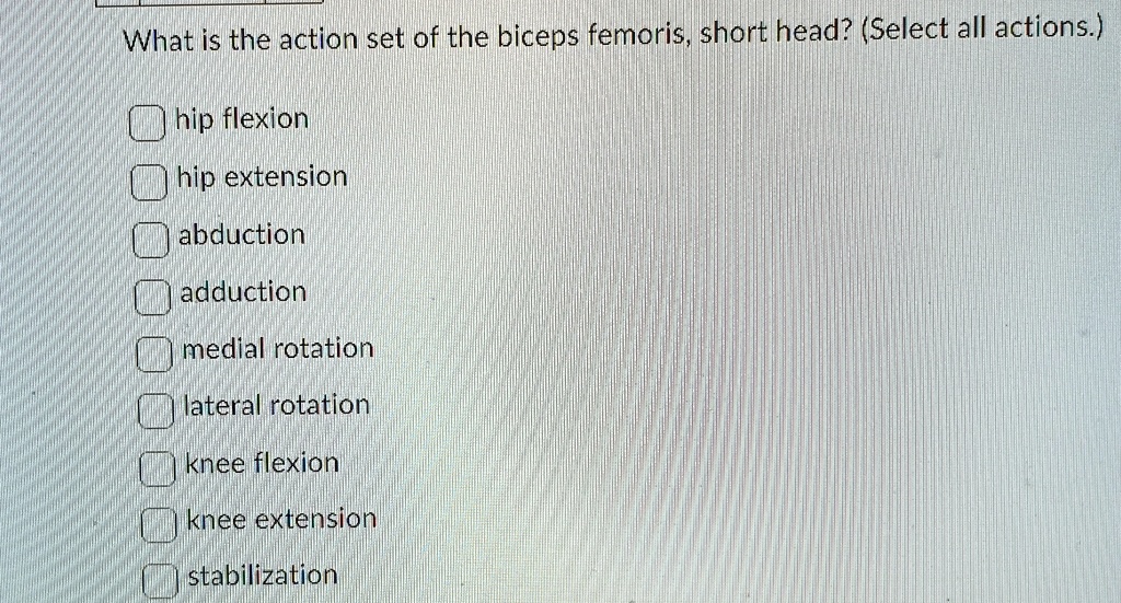 What is the action set of the biceps femoris, short head? (Select all ...
