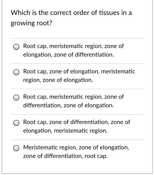 SOLVED: Which is the correct order of tissues in a growing root? Root ...