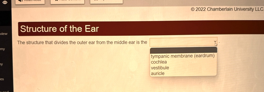 structure of the ear view the structure that divides the outer ear from ...